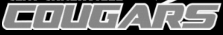 Similar Fonts: Comic Opera Oblique JNL, War Eagle Italic, Dr