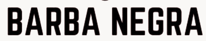 Similar Fonts: Blocklyn Condensed, Autogate - Font Duo 2, Ev