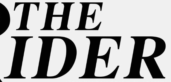 Similar Fonts: EucrosiaUPC Bold Italic, Manier Bold Italic,