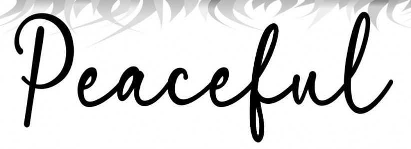 Similar Fonts: Intro Script R H2 Base, Gicery, Gic