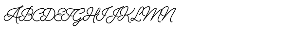 Alfons Script Medium Font - What Font Is