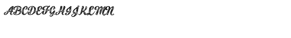 Black Script Printed Inline Bold Font - What Font Is
