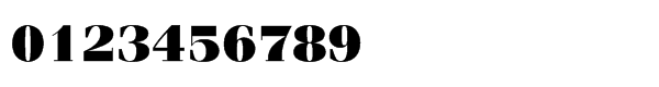 ITC Fenice™ Std Ultra Font - What Font Is