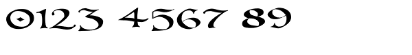 PR-Uncial Extended Font - What Font Is