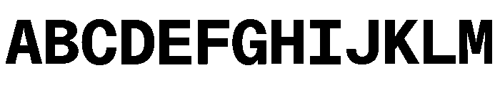ABCDiatypeMono Heavy Font