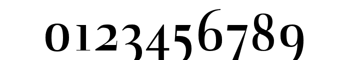 Naia semi-bold Font | Download Commercial | WhatFontIs