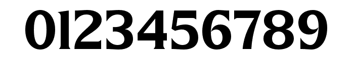 Rega Pira Bold Font - Serif Classic - What Font Is