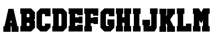 Support System Regular Font | Download Commercial | WhatFontIs