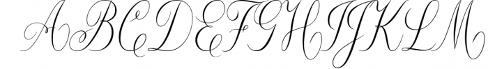 ConstÃ¢ncia Script Family 5 Font - What Font Is