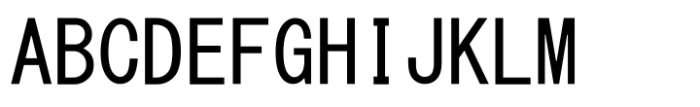 MS Gothic Regular Font | Download Commercial | WhatFontIs