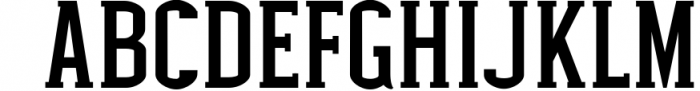 Nasya Slab Serif 4 Font Family Pack 2 Font - What Font Is