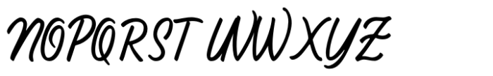 Palma Serena Font - Script Casual, Elegant - What Font Is