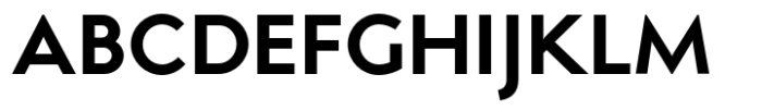 Selene Book Bold Font | Download Commercial | WhatFontIs