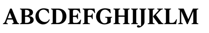 Silvana Text Bold Font | Download Commercial | WhatFontIs