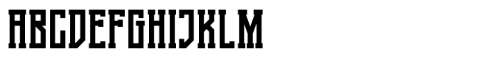 Singa Bold Slab Font | Download Commercial | WhatFontIs