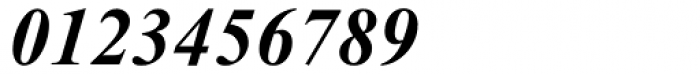 Times New Roman Cyrillic Bold Inclined Font - Serif Classic - What Font Is