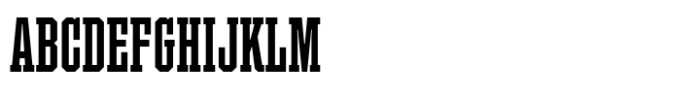 VT Foundry Slab Font | Download Commercial | WhatFontIs