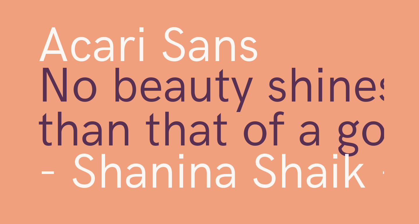 Acari Sans free Font - What Font Is