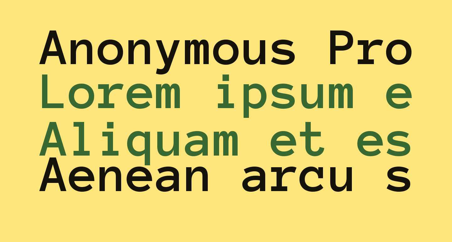 Anonymous Pro Bold free Font - What Font Is