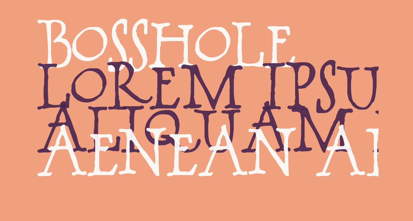 BOSSHOLE free Font - What Font Is