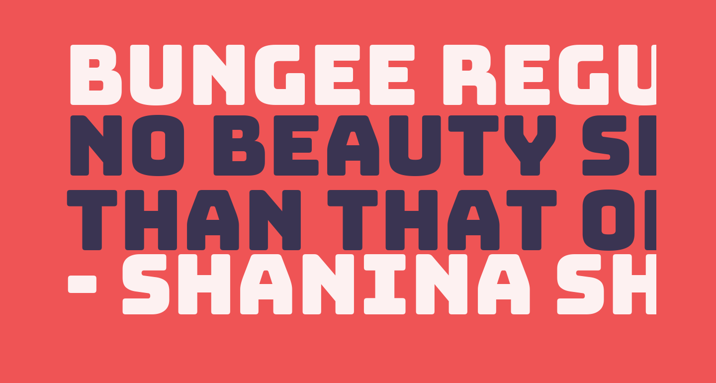 Bungee Regular free Font - What Font Is