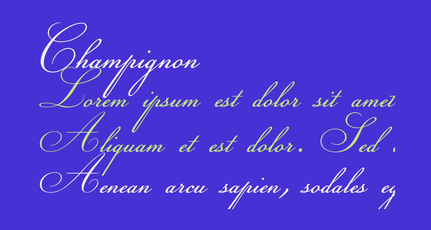 Champignon free Font - What Font Is