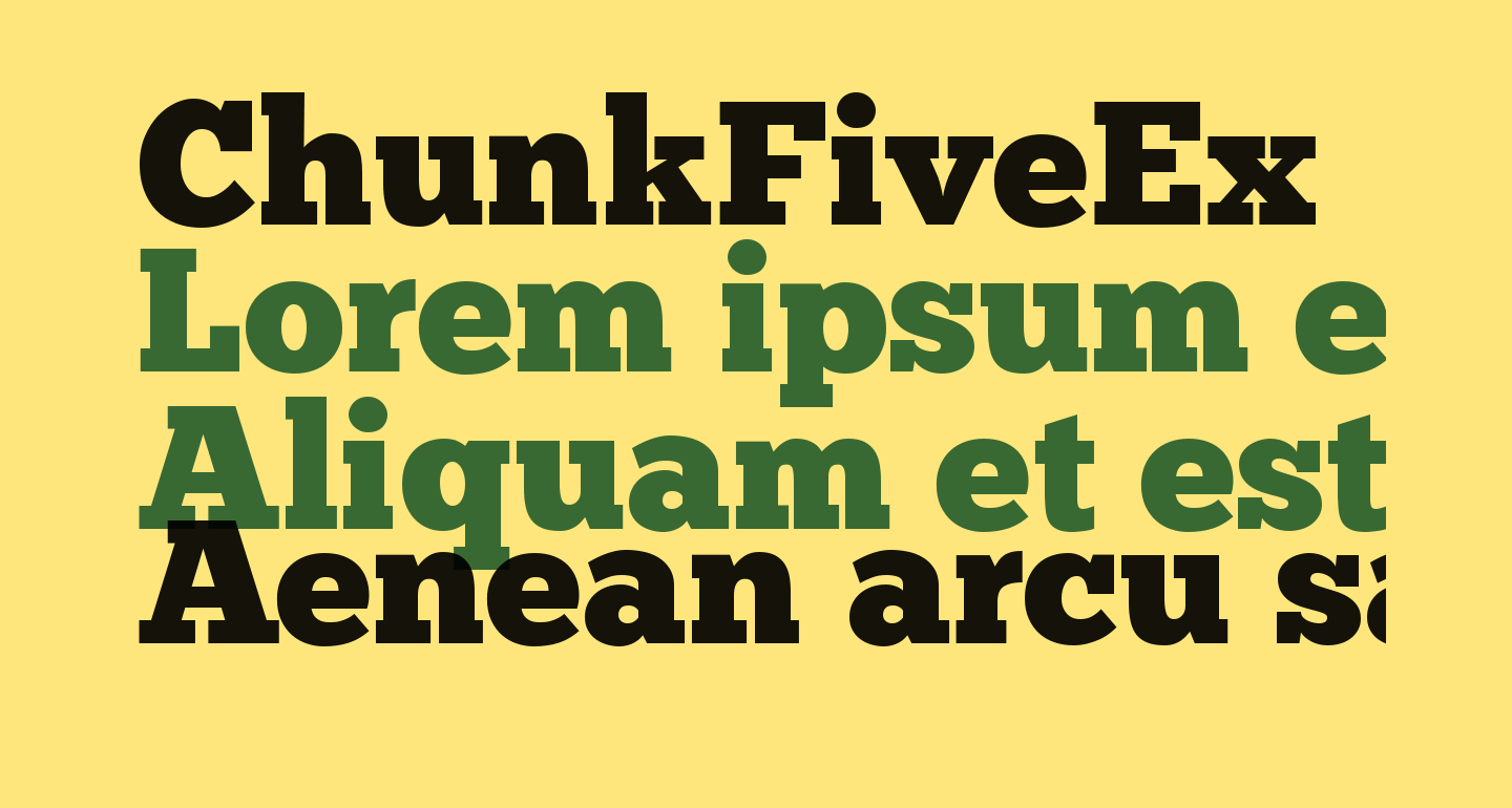 ChunkFiveEx free Font - What Font Is