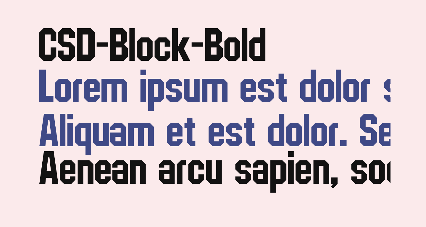 CSD-Block-Bold free Font - What Font Is