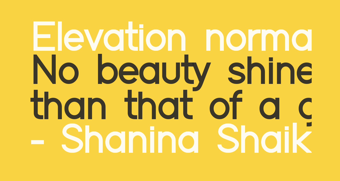 Elevation normal free Font - What Font Is