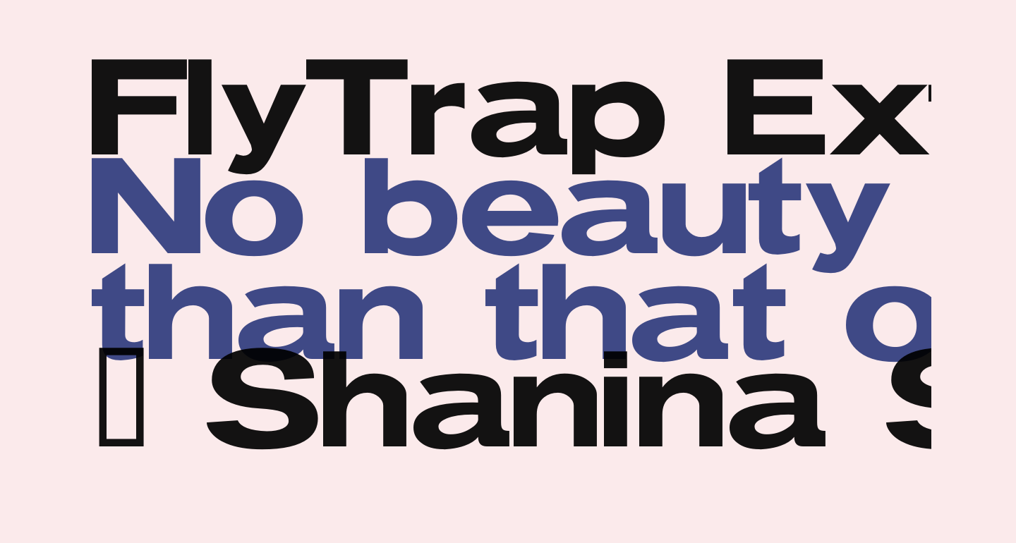 FlyTrap Extended free Font - What Font Is