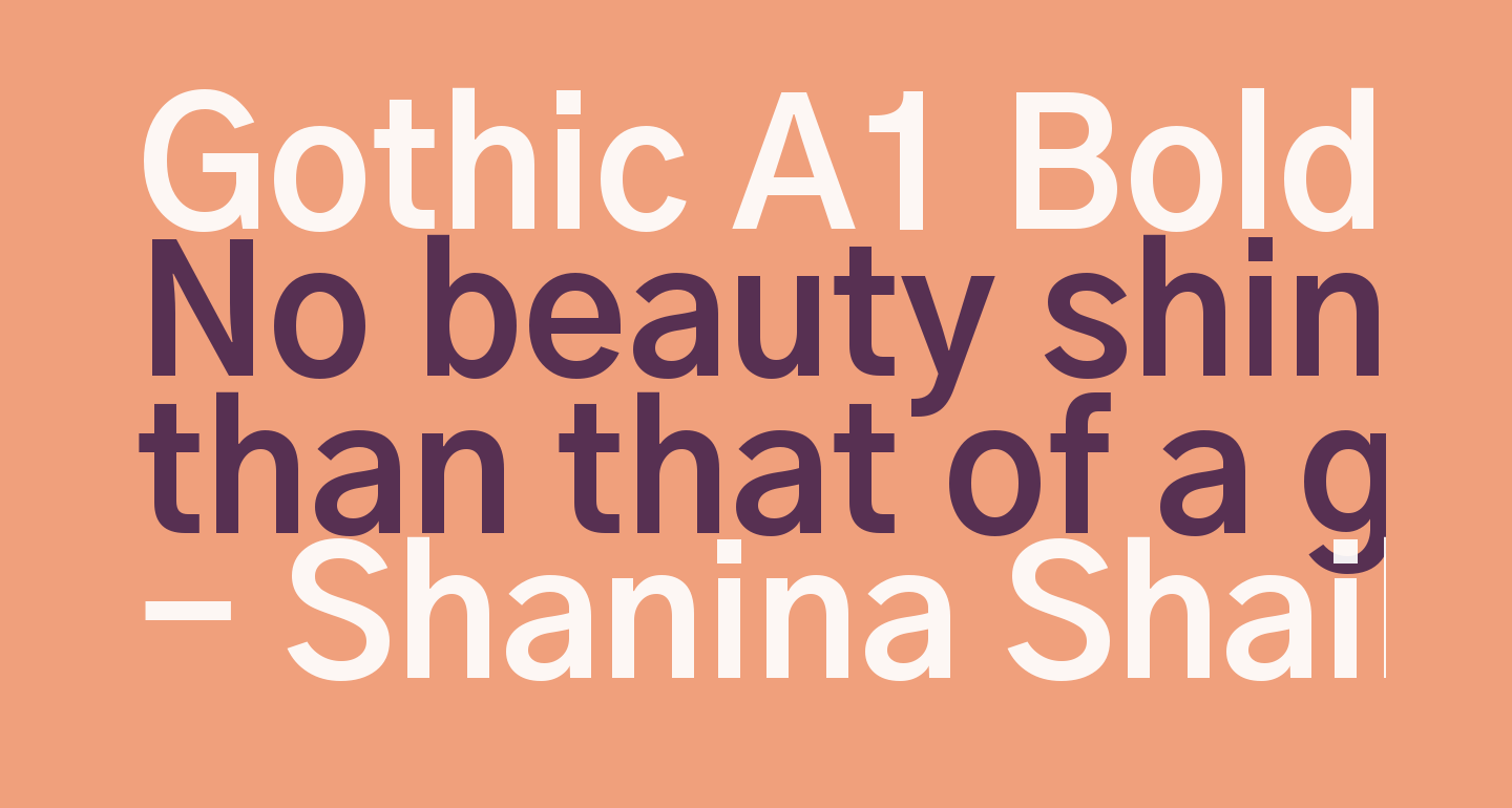 Gothic A1 Bold free Font - What Font Is