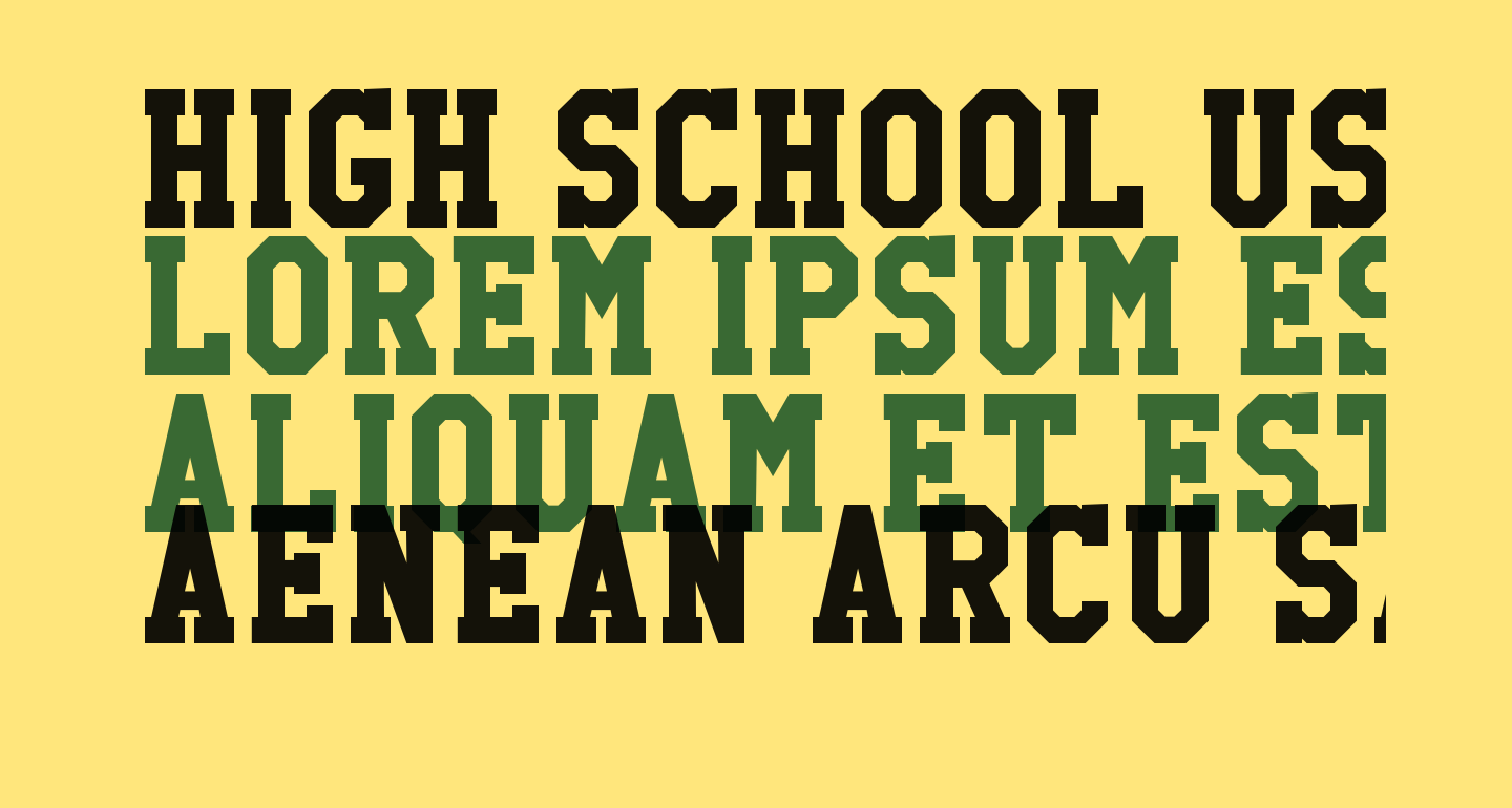 High School USA Serif free Font - What Font Is