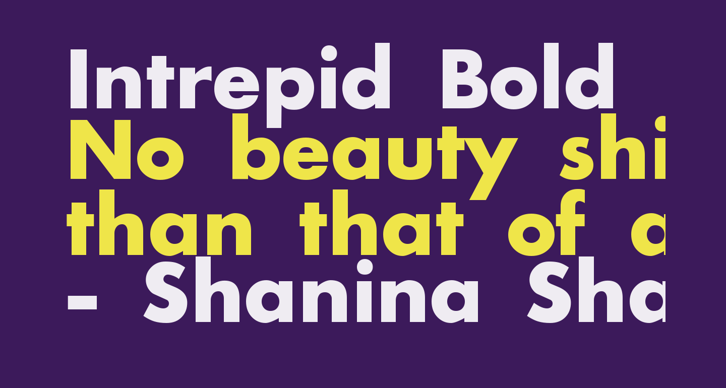 Intrepid Bold free Font - What Font Is