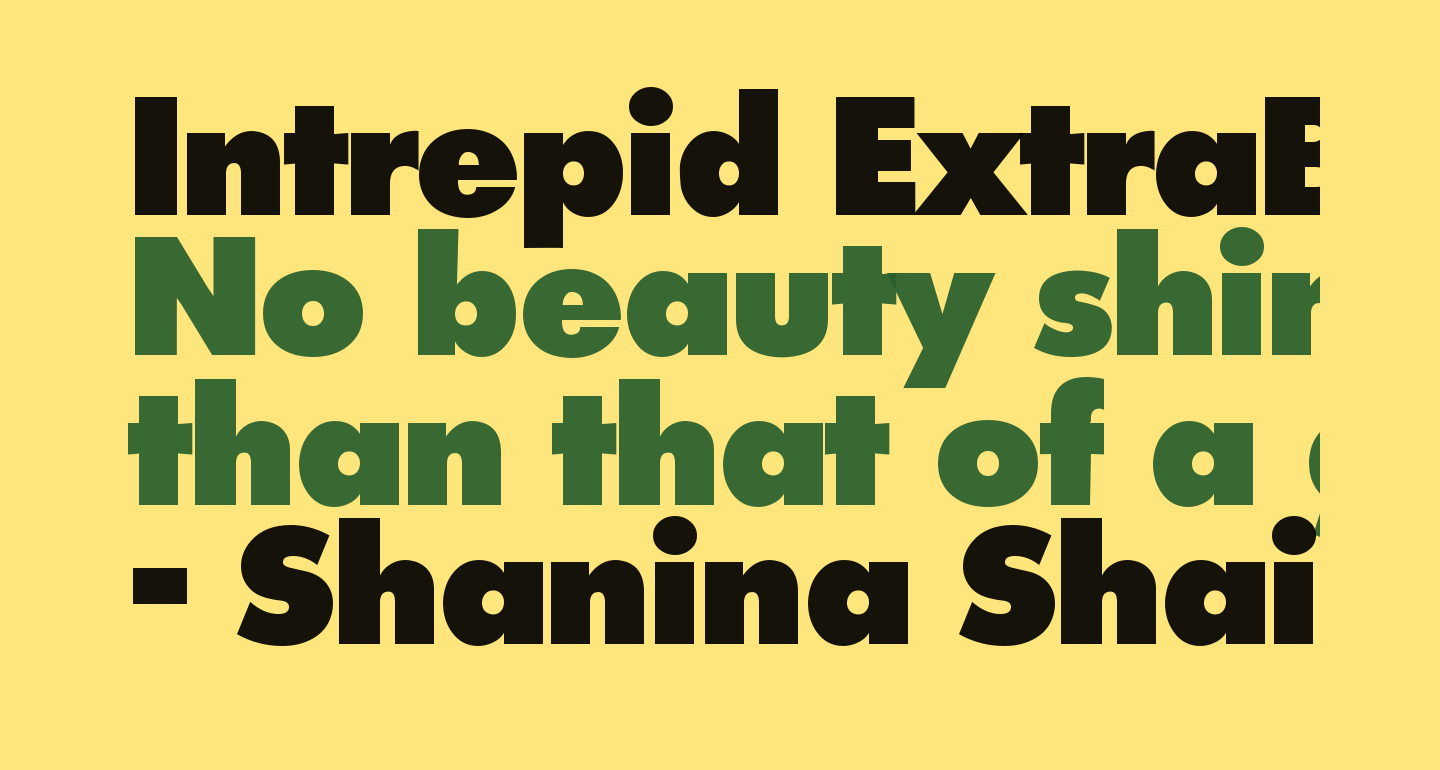 Intrepid ExtraBold free Font - What Font Is