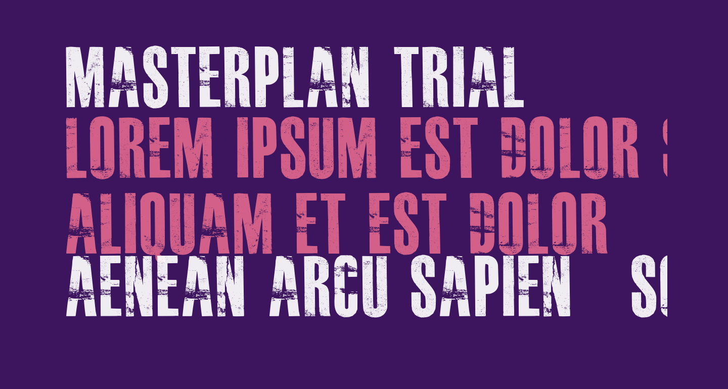 MASTERPLAN TRIAL free Font - What Font Is