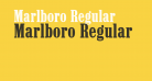 Marlboro Regular free Font - What Font Is