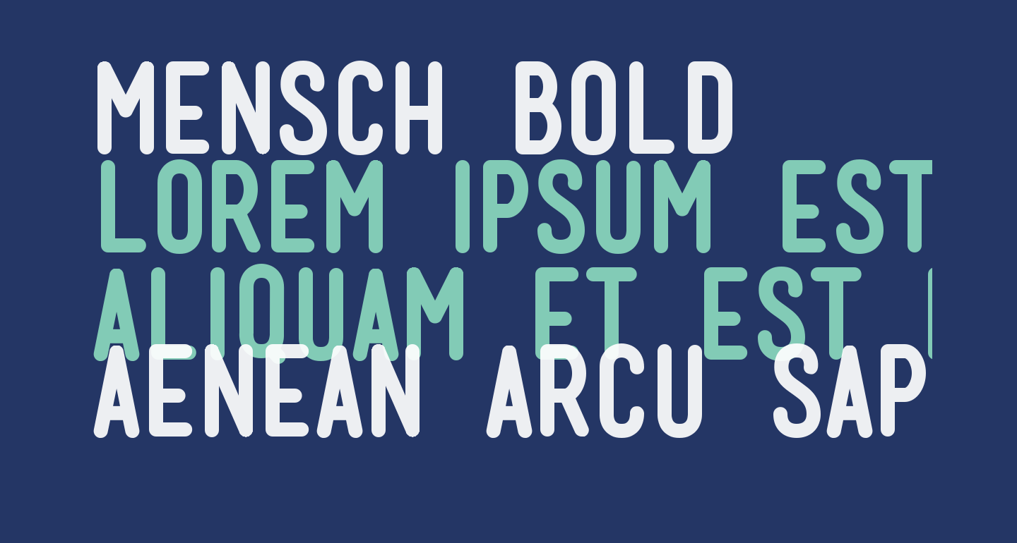 Mensch Bold free Font - What Font Is