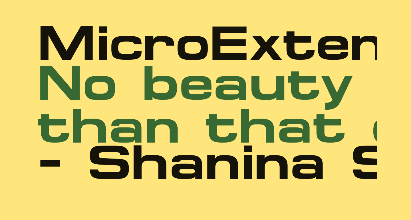 MicroExtendFLF-Bold free Font - What Font Is