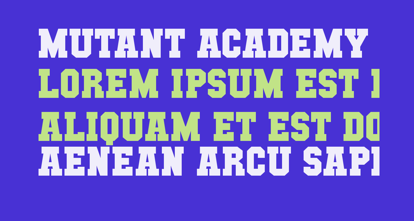 Mutant Academy BB free Font - What Font Is