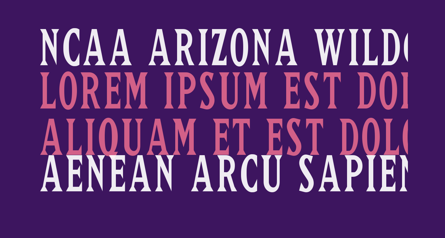 NCAA Arizona Wildcats Rawlings free Font - What Font Is