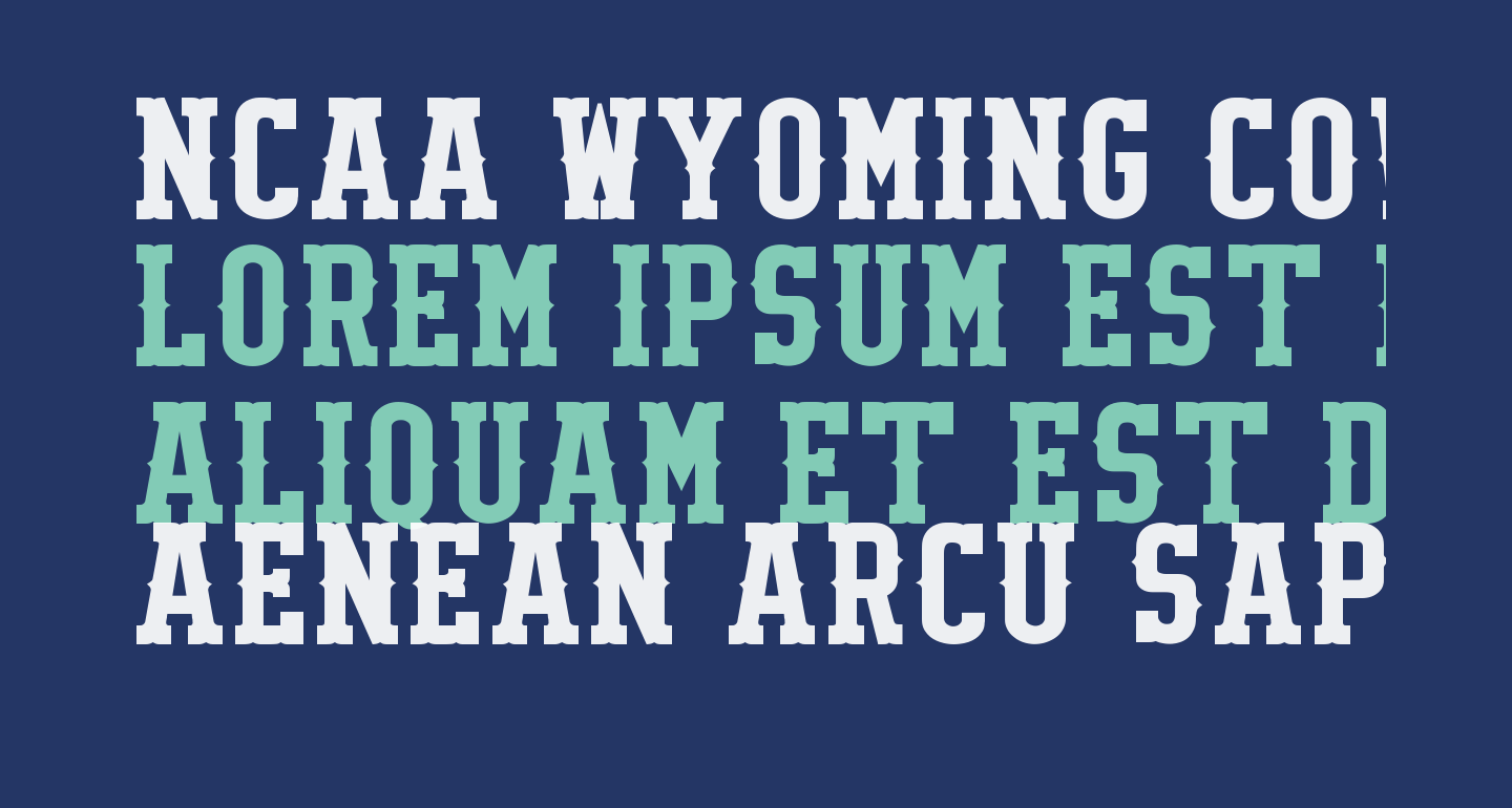 NCAA Wyoming Cowboys free Font - What Font Is