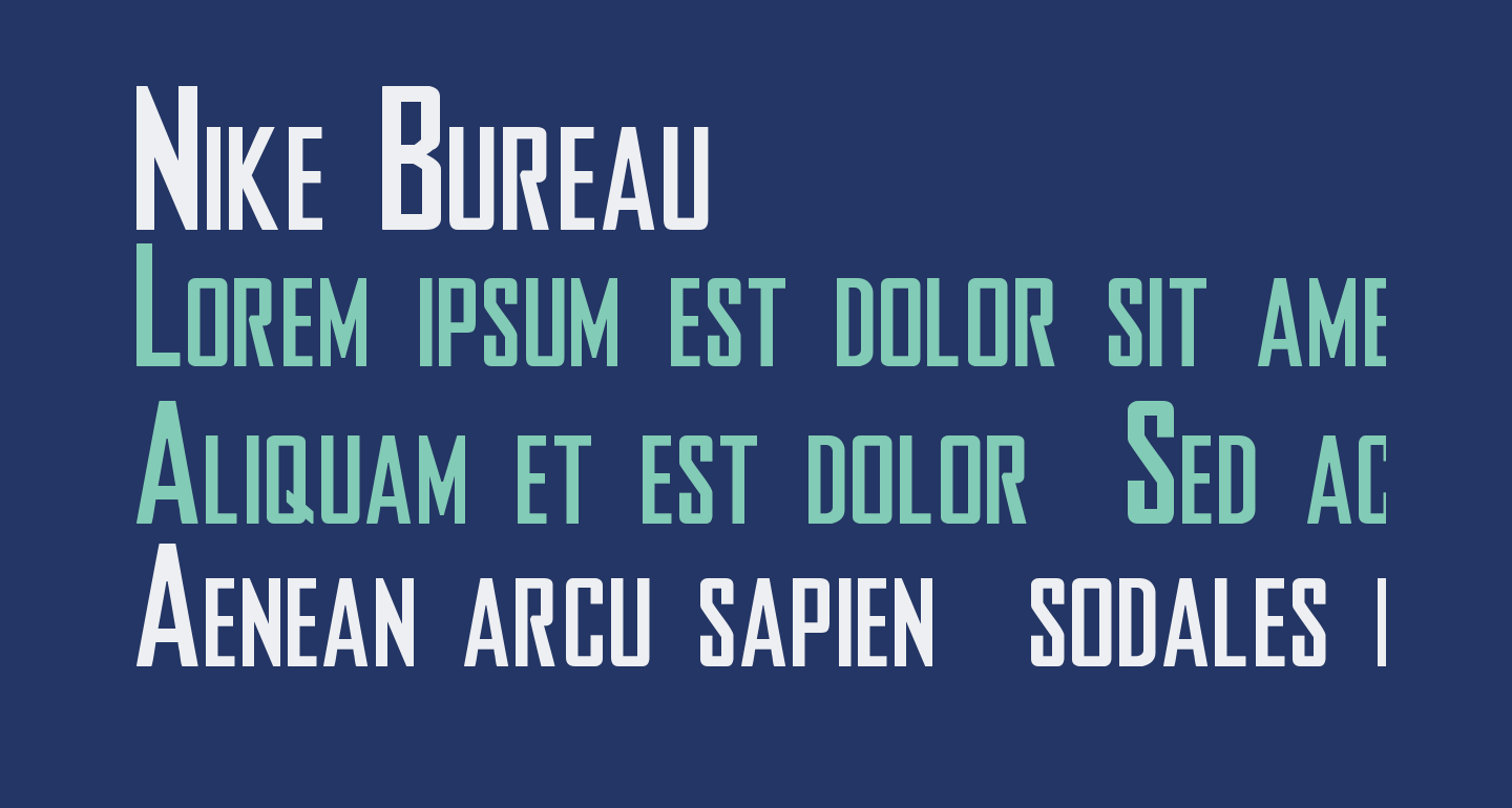 Nike Bureau free Font - What Font Is