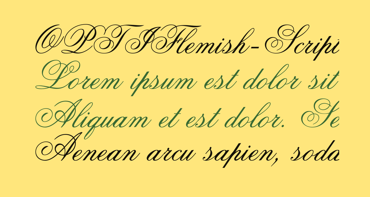 OPTIFlemish-Script free Font - What Font Is