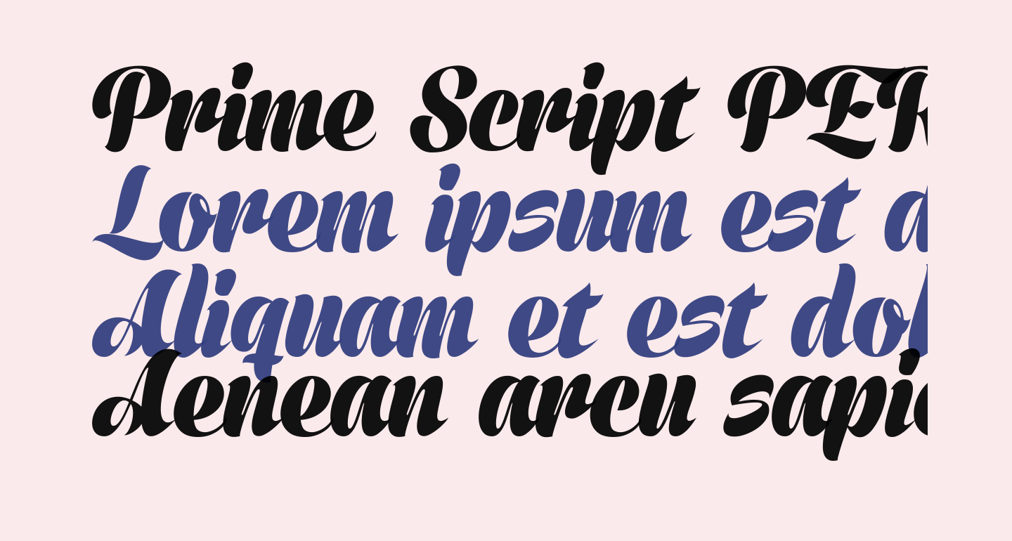 Prime Script PERSONAL USE ONLY free Font - What Font Is