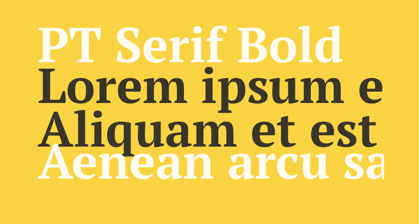 PT Serif Bold free Font - What Font Is