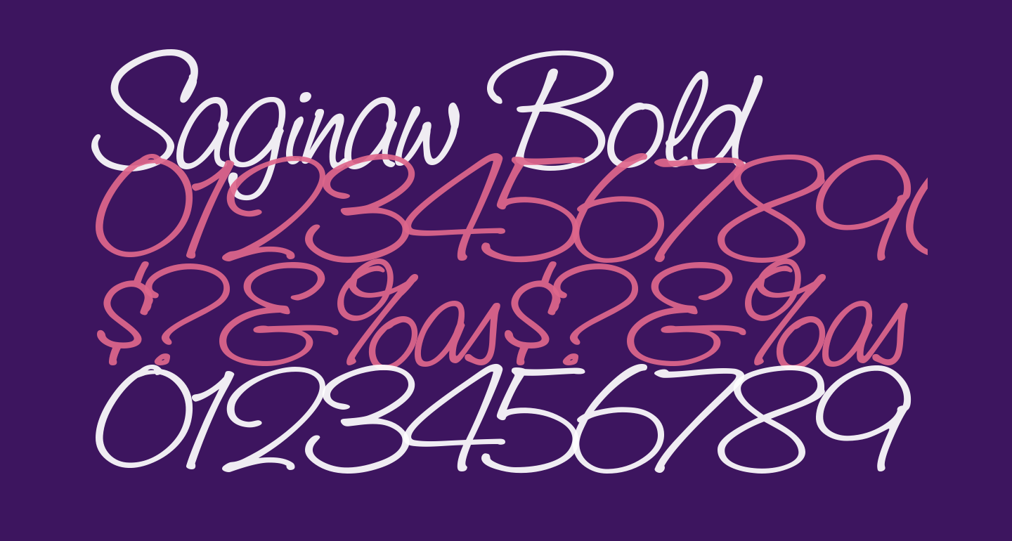 Saginaw Bold free Font - What Font Is