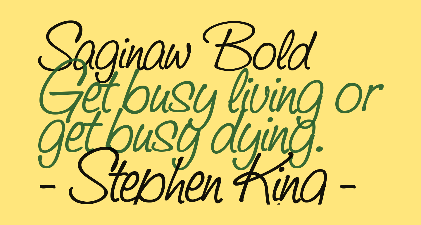 Saginaw Bold free Font - What Font Is