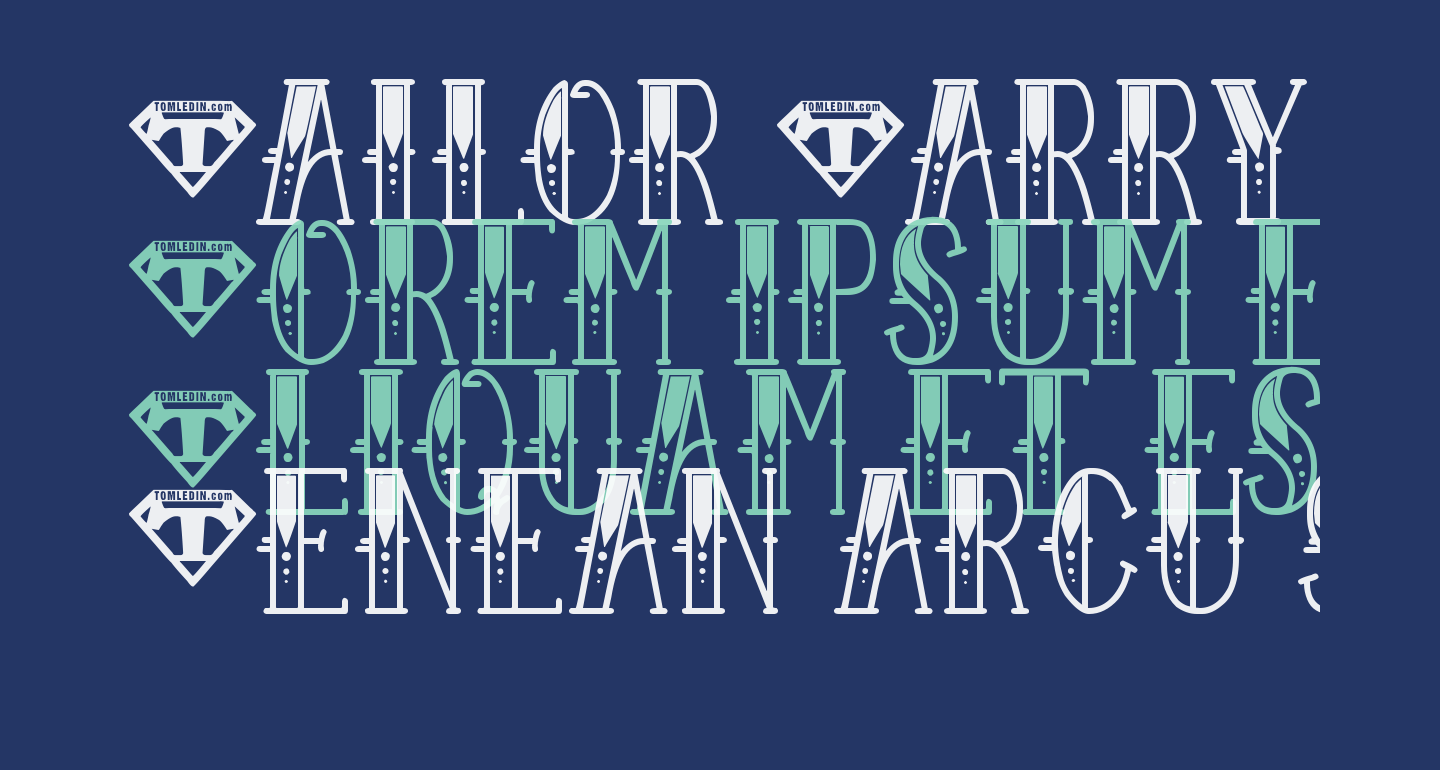 Sailor Larry Fancy free Font - What Font Is