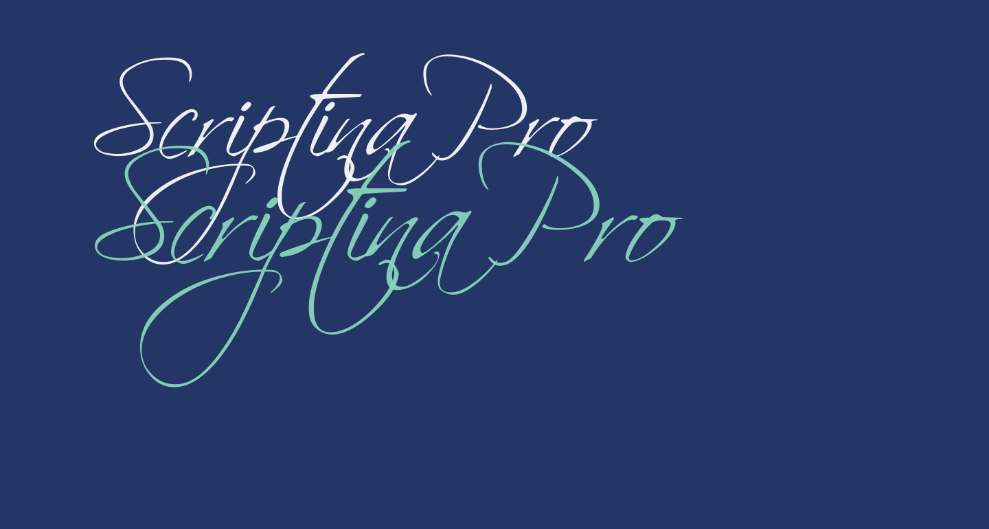Scriptina Pro free Font - What Font Is