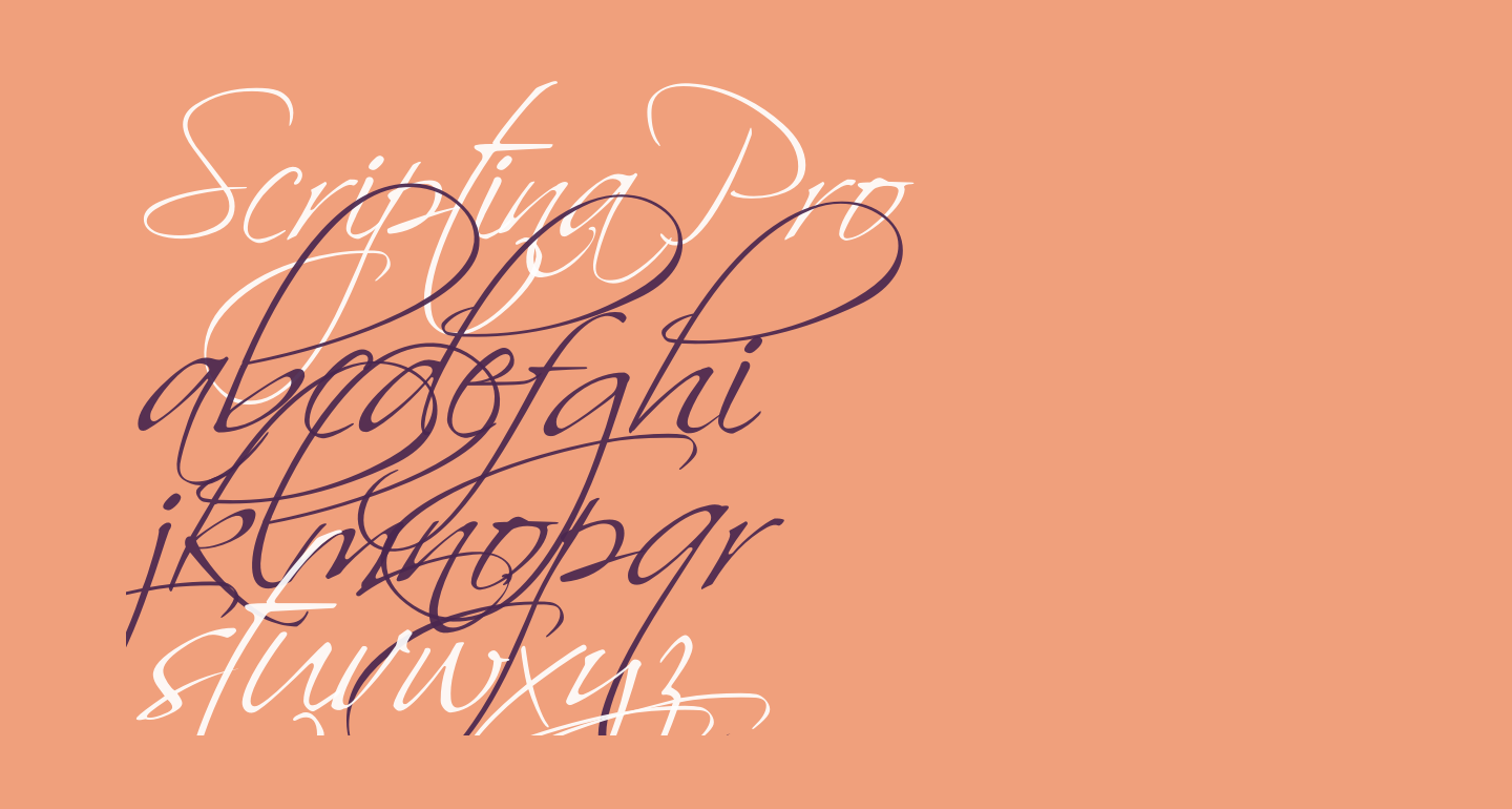 Scriptina Pro free Font - What Font Is